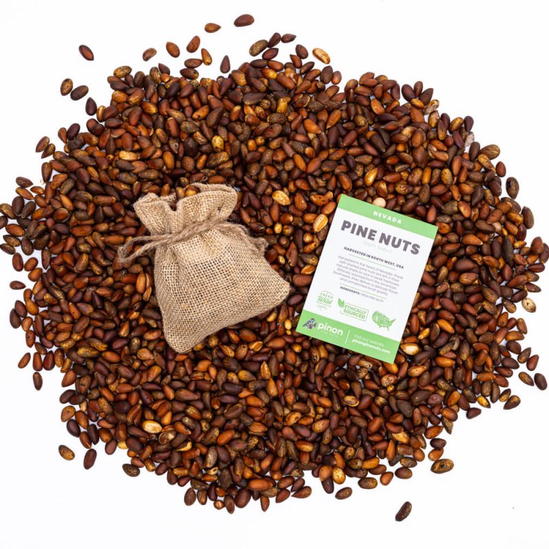 Nevada Pine Nut (Soft Shell) - PIÑON Pine Nuts