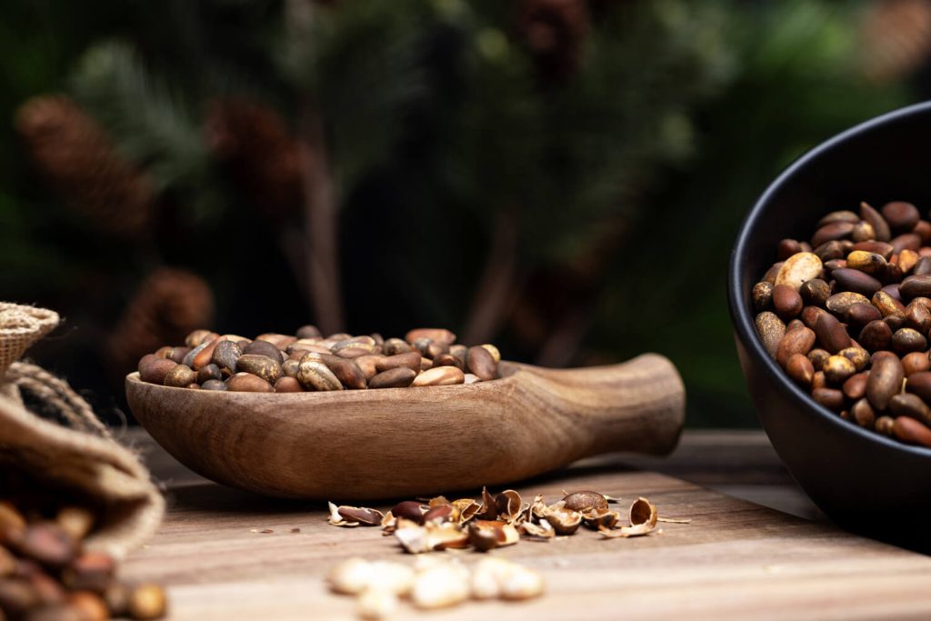 Nevada Pine Nut (Soft Shell) - PIÑON Pine Nuts