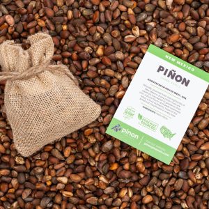 New Mexico Piñon (Hard Shell) - PIÑON Pine Nuts