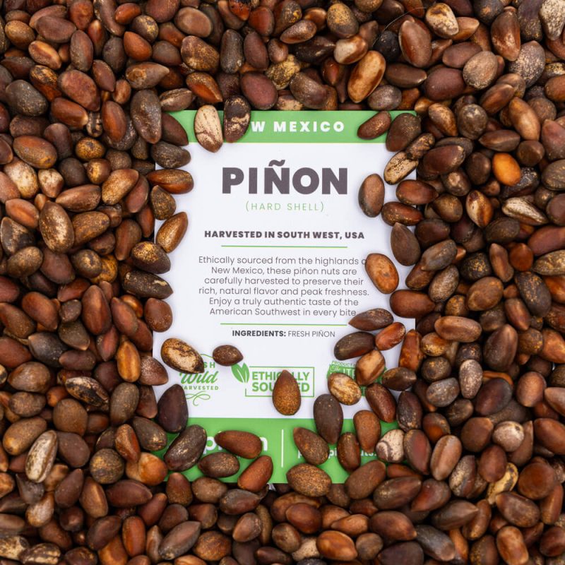 New Mexico Piñon (Hard Shell) - PIÑON Pine Nuts