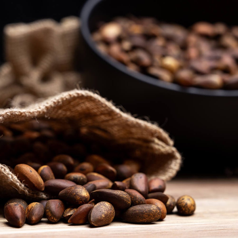 New Mexico Piñon (Hard Shell) - PIÑON Pine Nuts