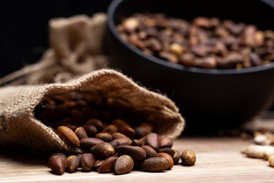 New Mexico Piñon (Hard Shell) - PIÑON Pine Nuts