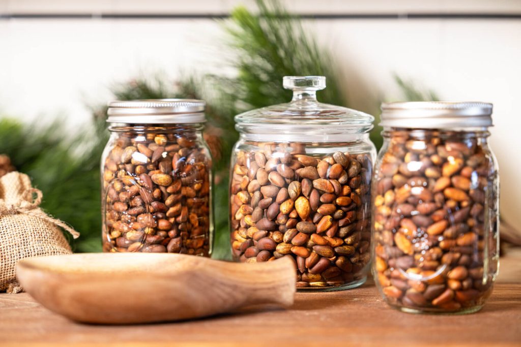 New Mexico Piñon (Hard Shell) - PIÑON Pine Nuts