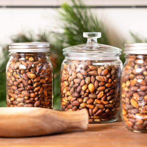 New Mexico Piñon (Hard Shell) - PIÑON Pine Nuts