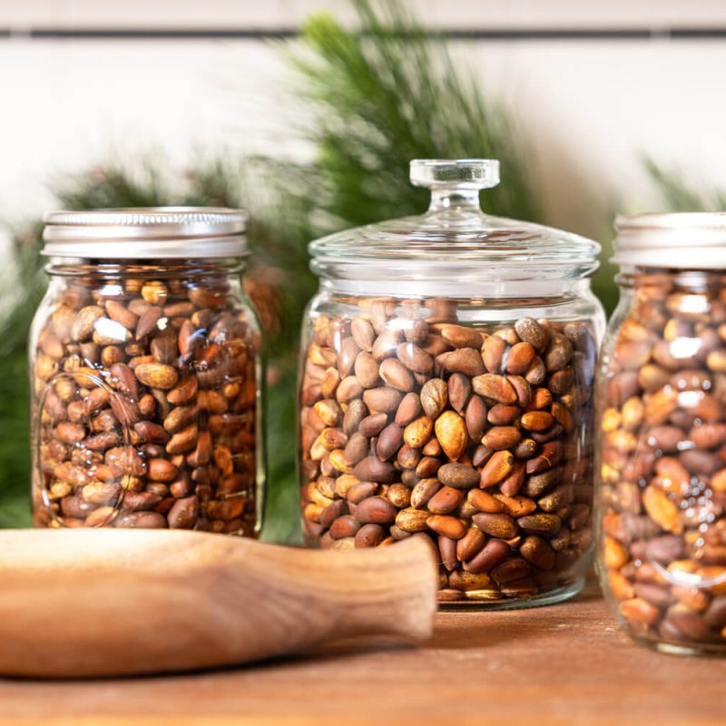 New Mexico Piñon (Hard Shell) - PIÑON Pine Nuts