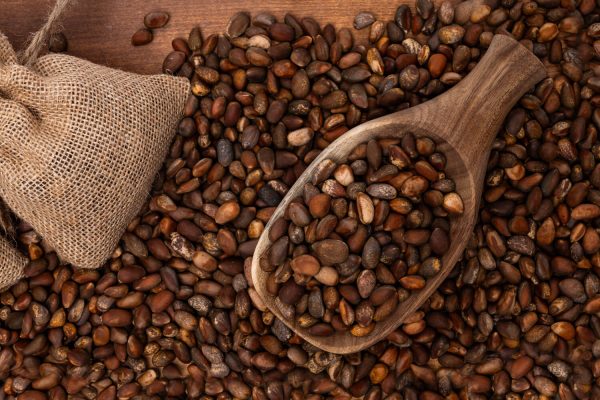 New Mexico Piñon (Hard Shell) - PIÑON Pine Nuts